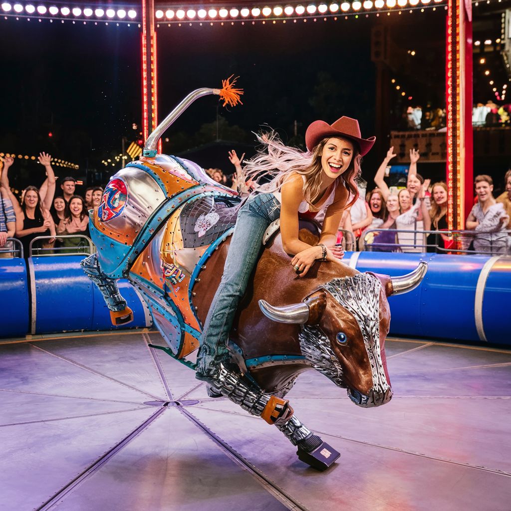 The World of Mechanical Bulls